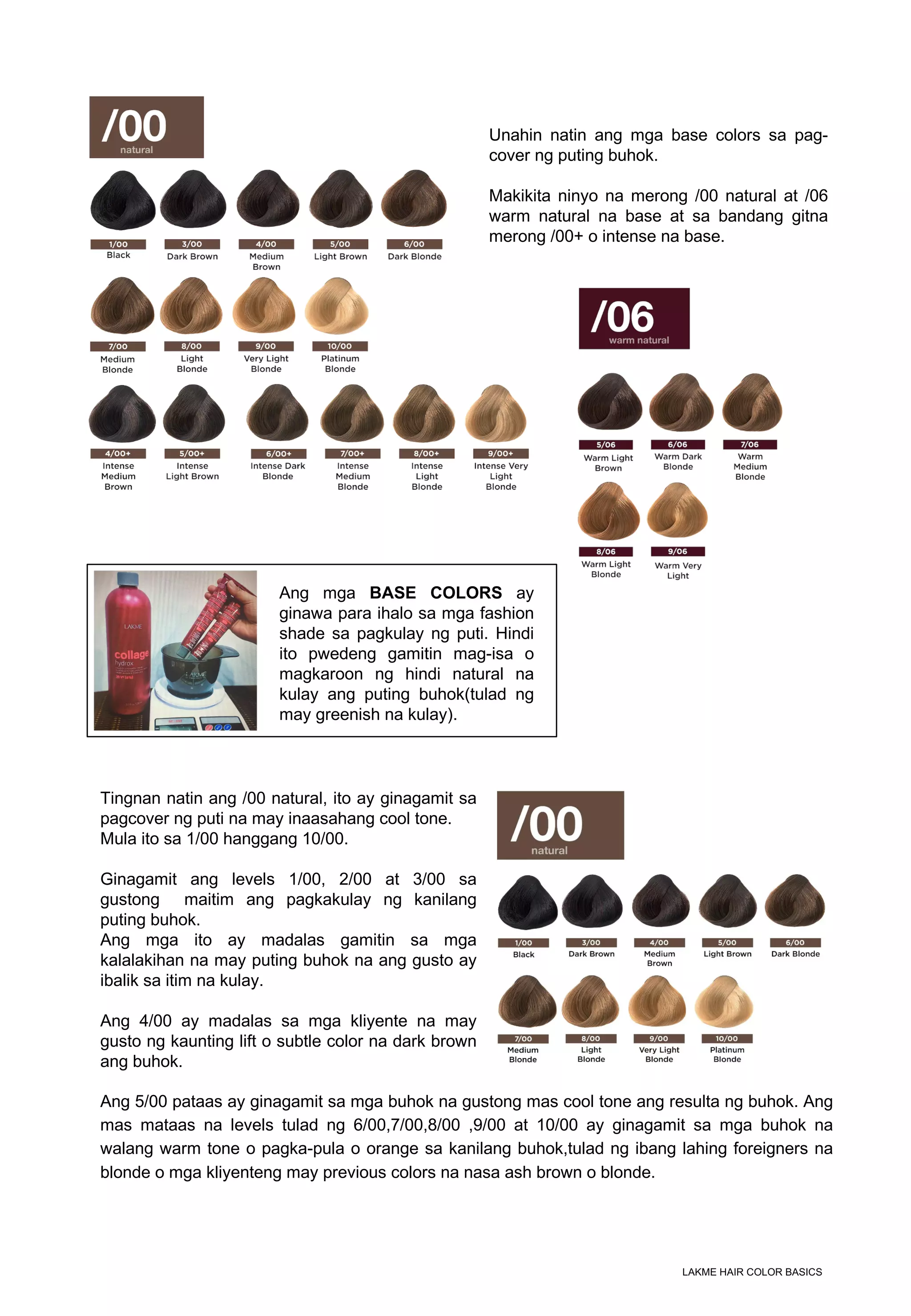 Hair Color Basics | PDF