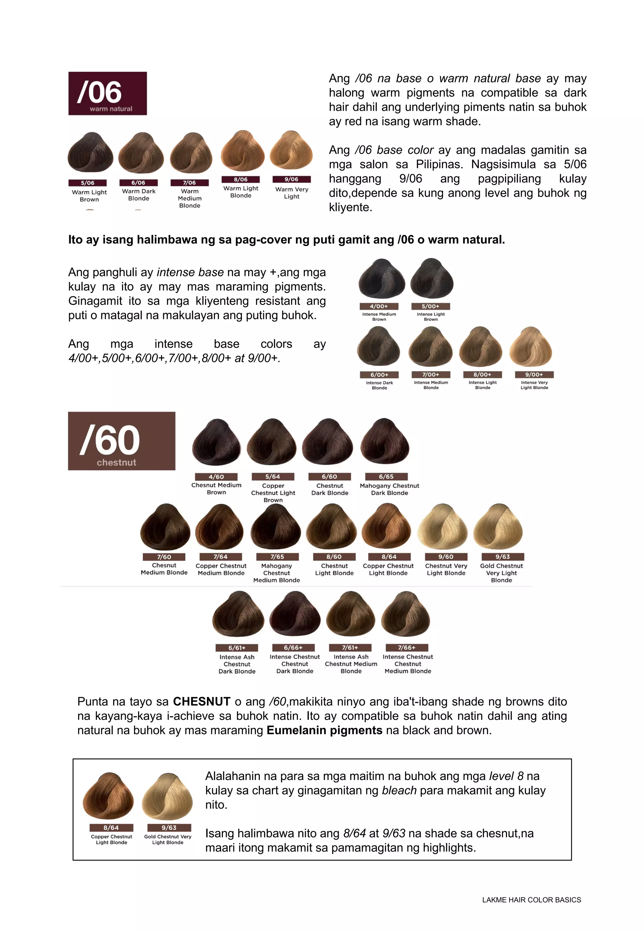 Hair Color Basics | PDF