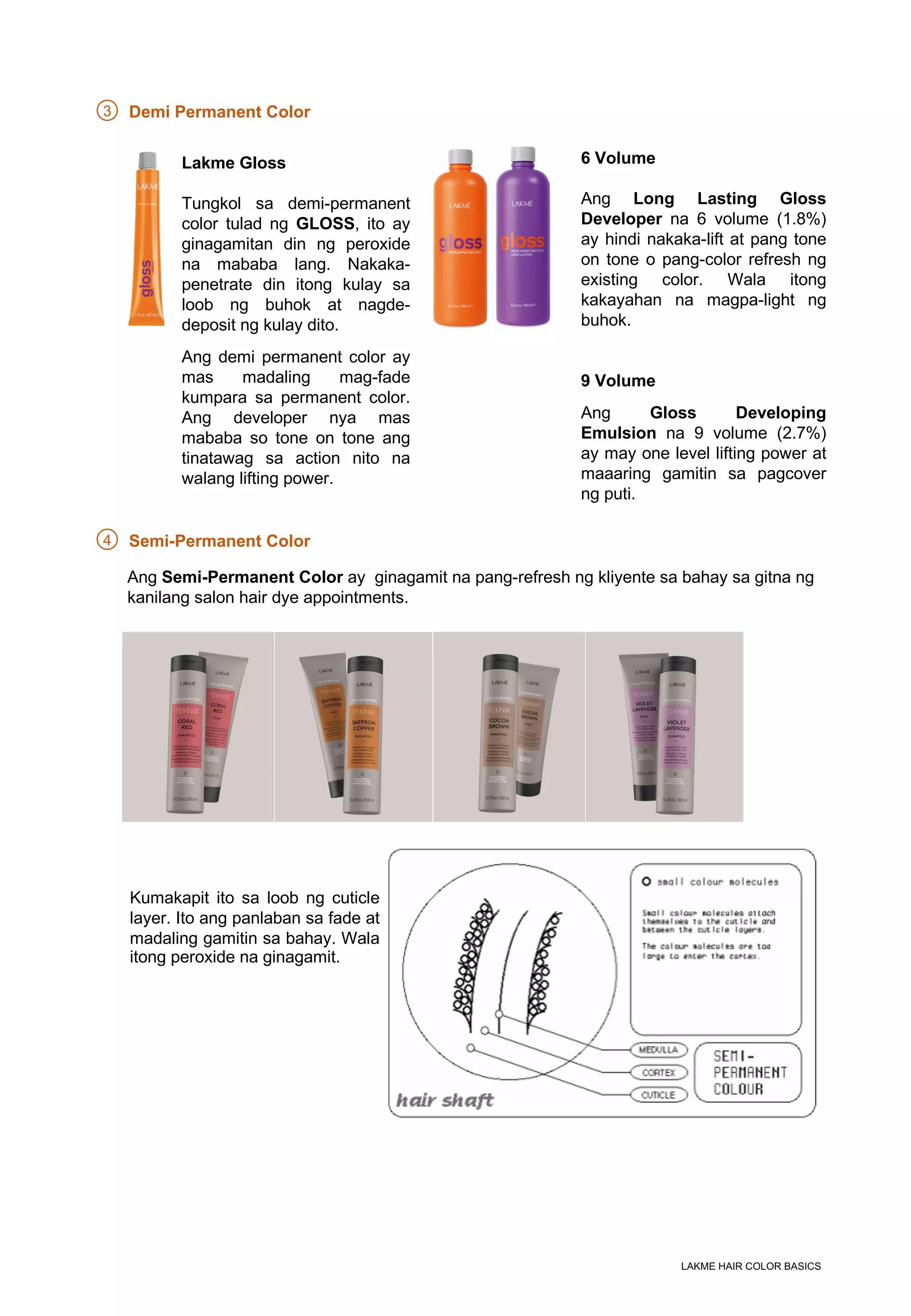 Hair Color Basics | PDF