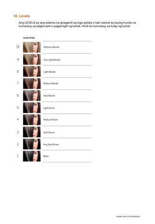 Hair Color Basics | PDF