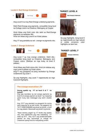 Hair Color Basics | PDF
