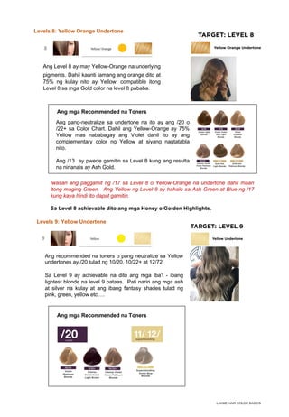 Hair Color Basics | PDF
