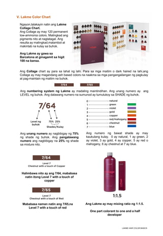 Hair Color Basics | PDF