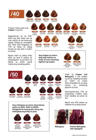 Hair Color Basics | PDF