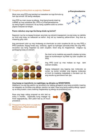 Hair Color Basics | PDF
