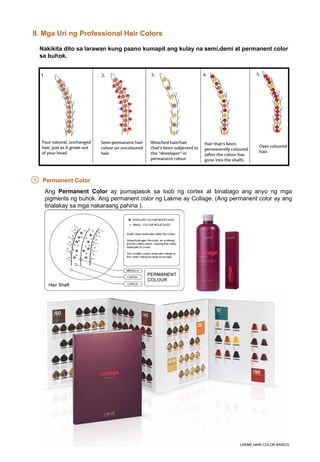 Hair Color Basics | PDF
