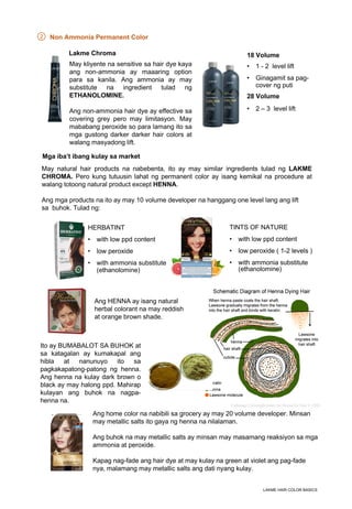 Hair Color Basics | PDF