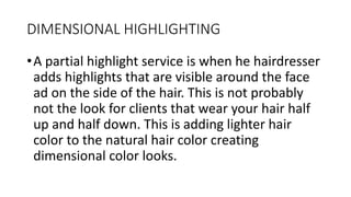 Hair Coloring Application.pptx