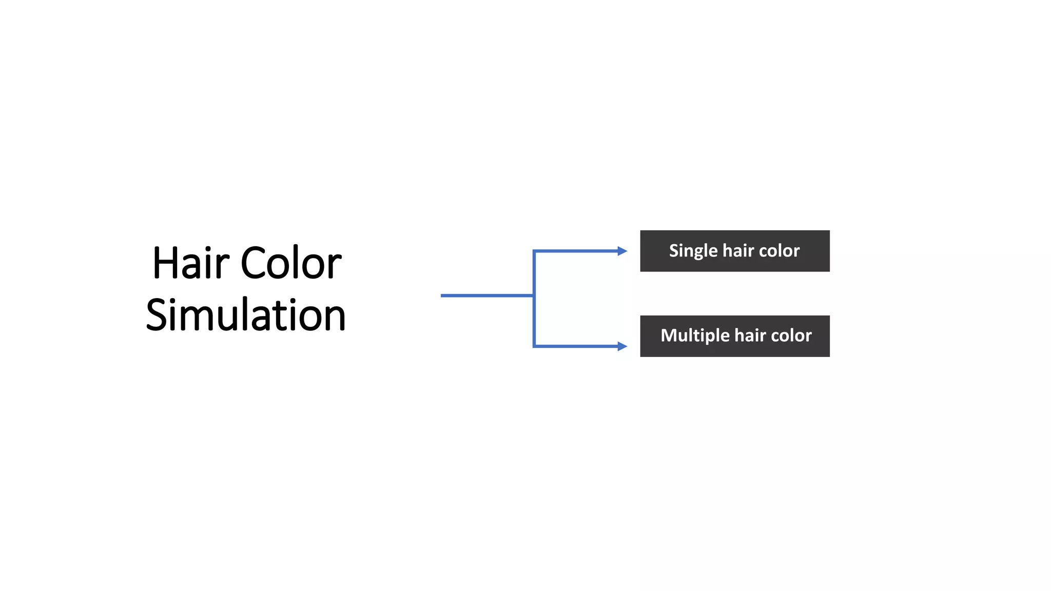 Real-time Hair Color Simualtion | PPT