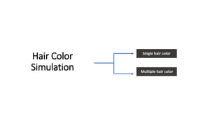 Real-time Hair Color Simualtion | PPT