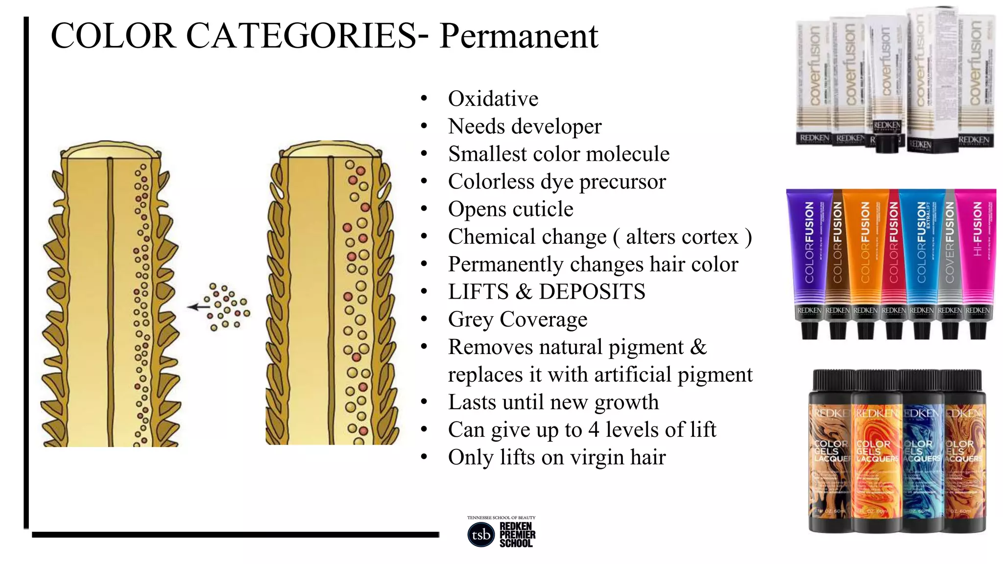 Hair color weeks 3 4 | PPTX