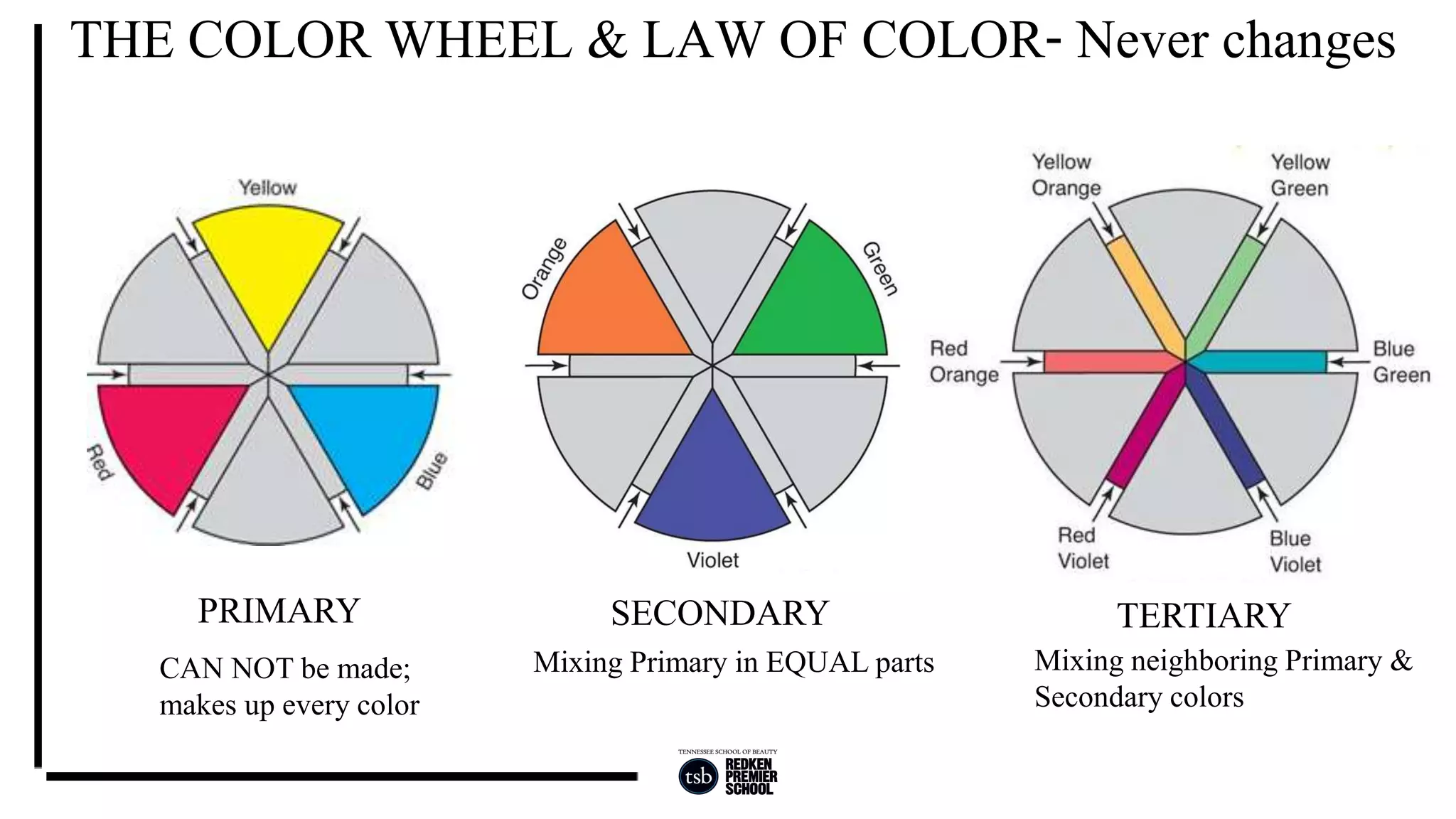 Hair color weeks 3 4 | PPTX