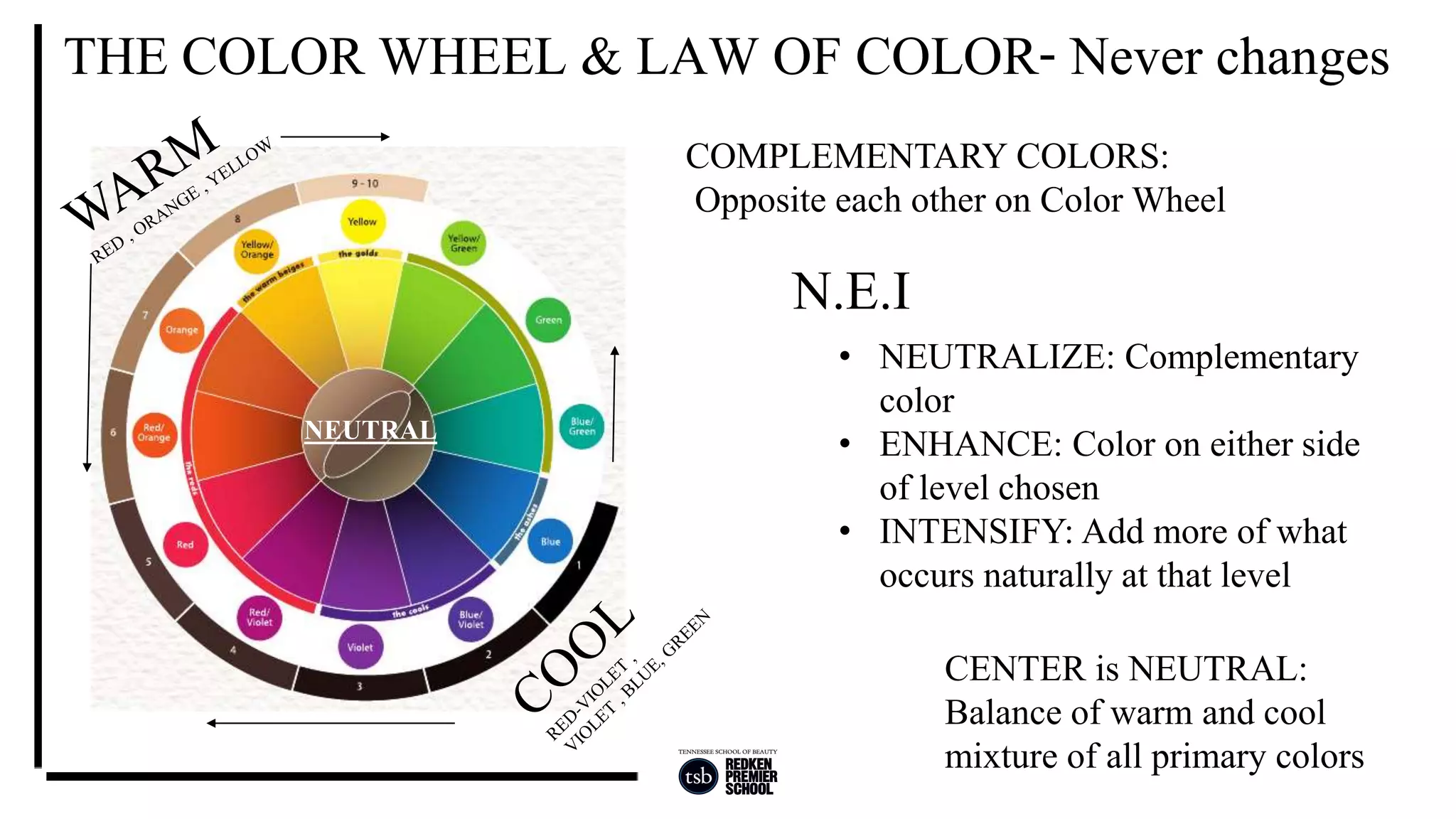 Hair color weeks 3 4 | PPTX