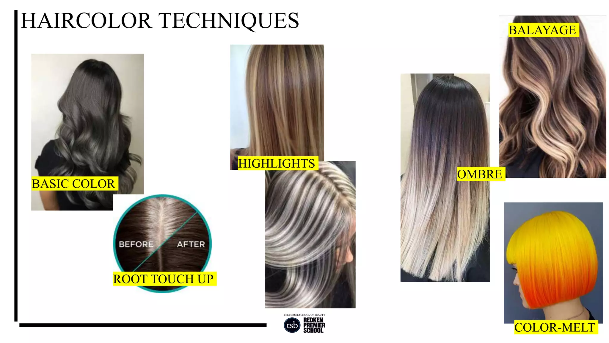 Hair color weeks 3 4 | PPTX