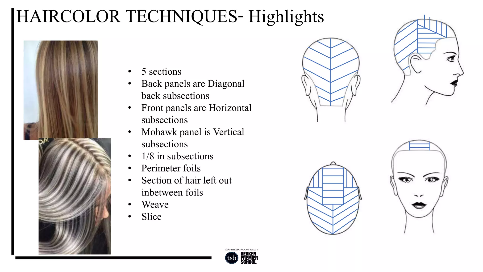 Hair color weeks 3 4 | PPTX