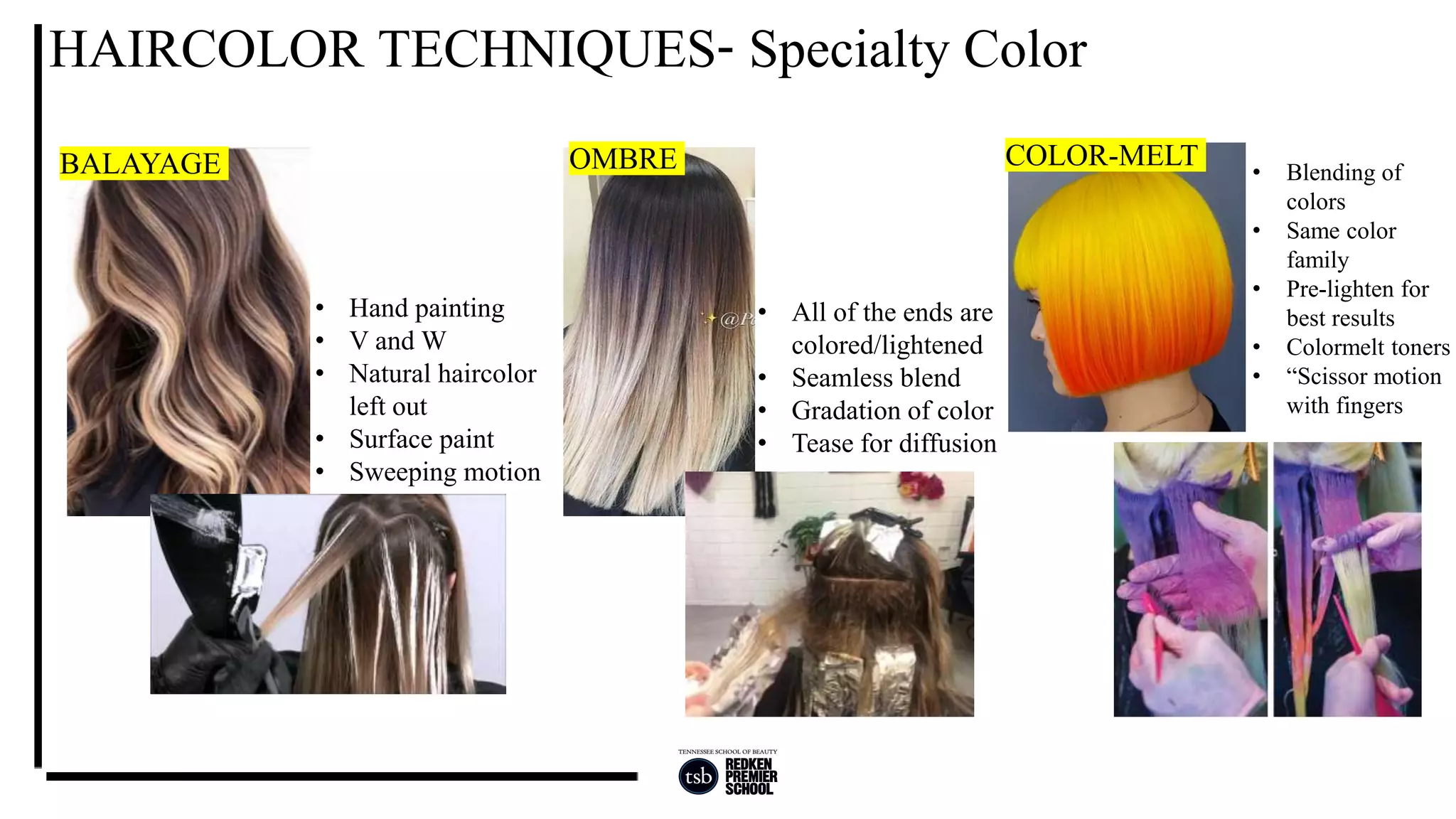 Hair color weeks 3 4 | PPTX