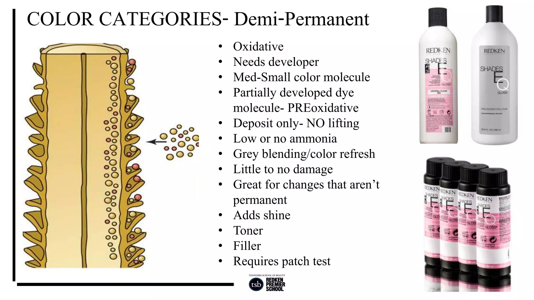 Hair color weeks 3 4 | PPTX