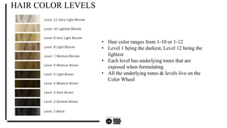 Hair color weeks 3 4 | PPTX