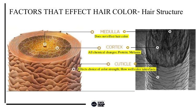 Hair color weeks 3 4