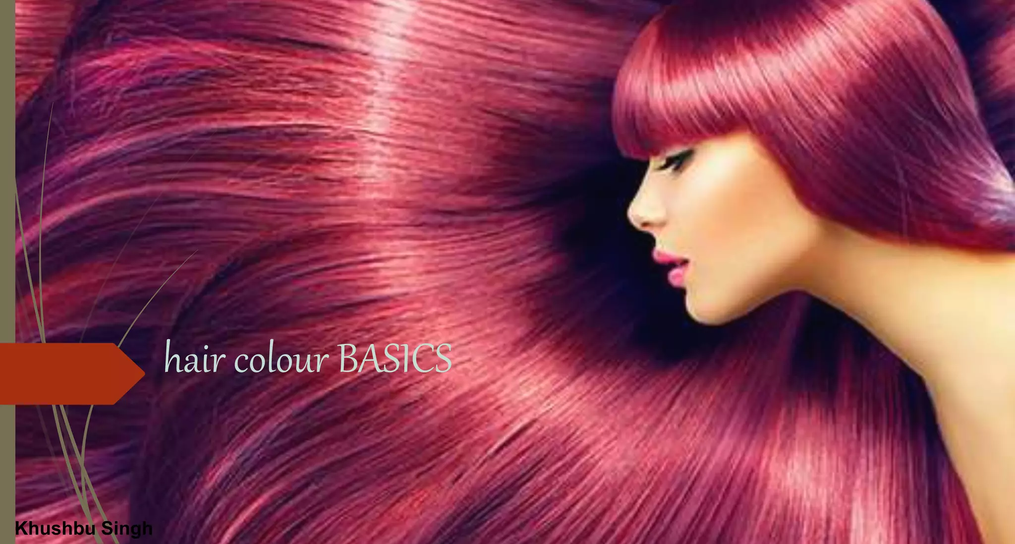 Hair Colour Basics | PPTX