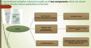 Hair Colour Basics | PPTX