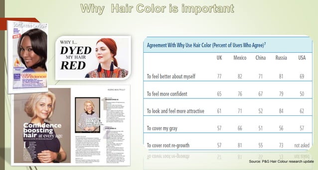 Hair Colour Basics | PPTX