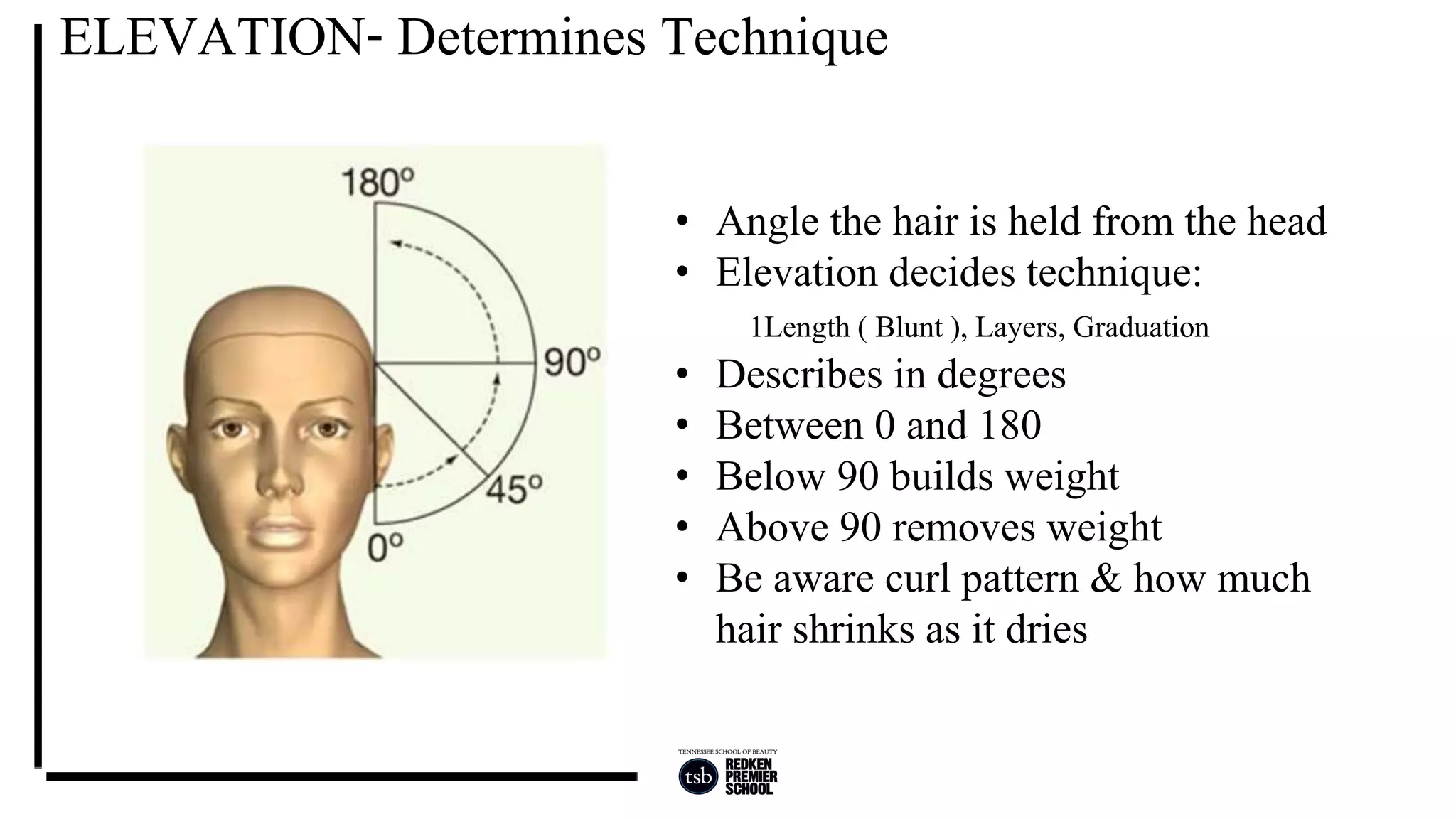 Haircutting weeks 5 & 6 | PPTX