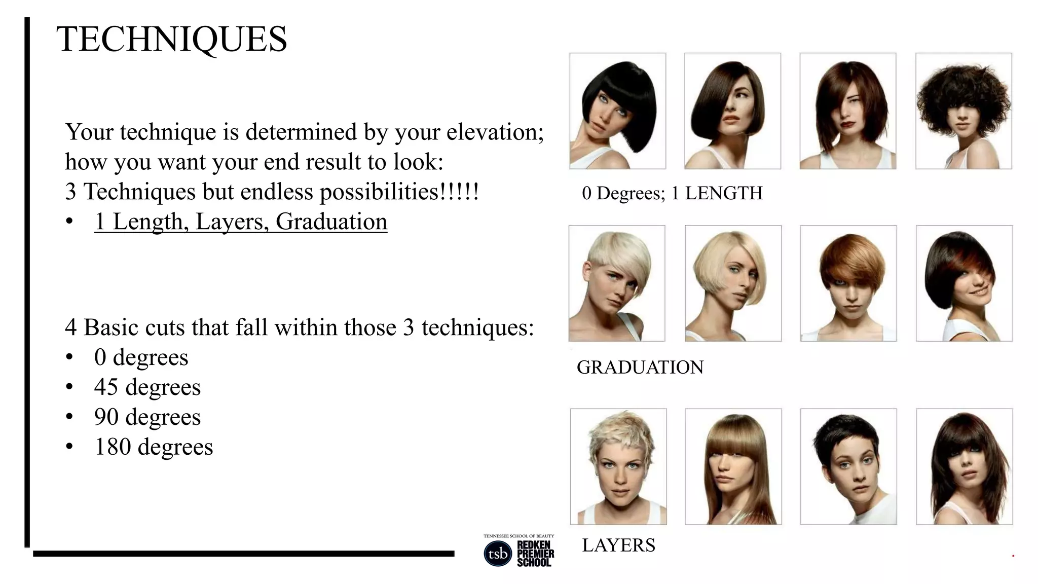 Haircutting weeks 5 & 6 | PPTX