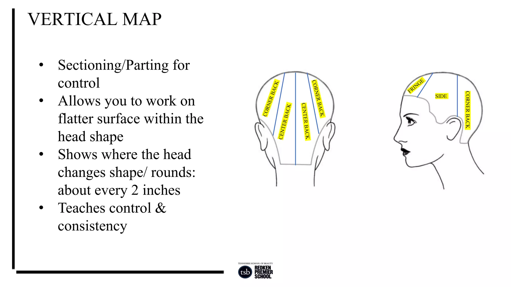 Haircutting weeks 5 & 6 | PPTX