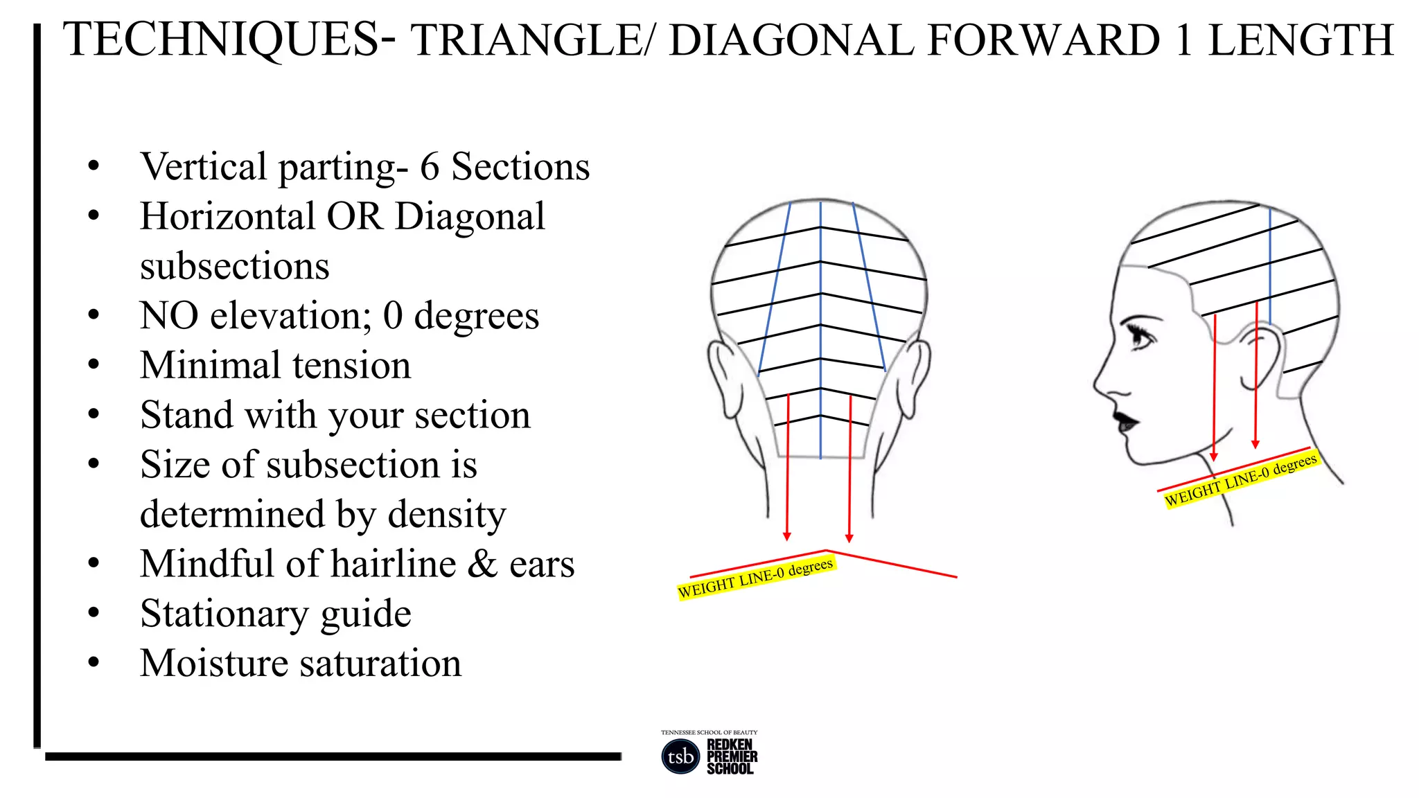 Haircutting weeks 5 & 6 | PPTX