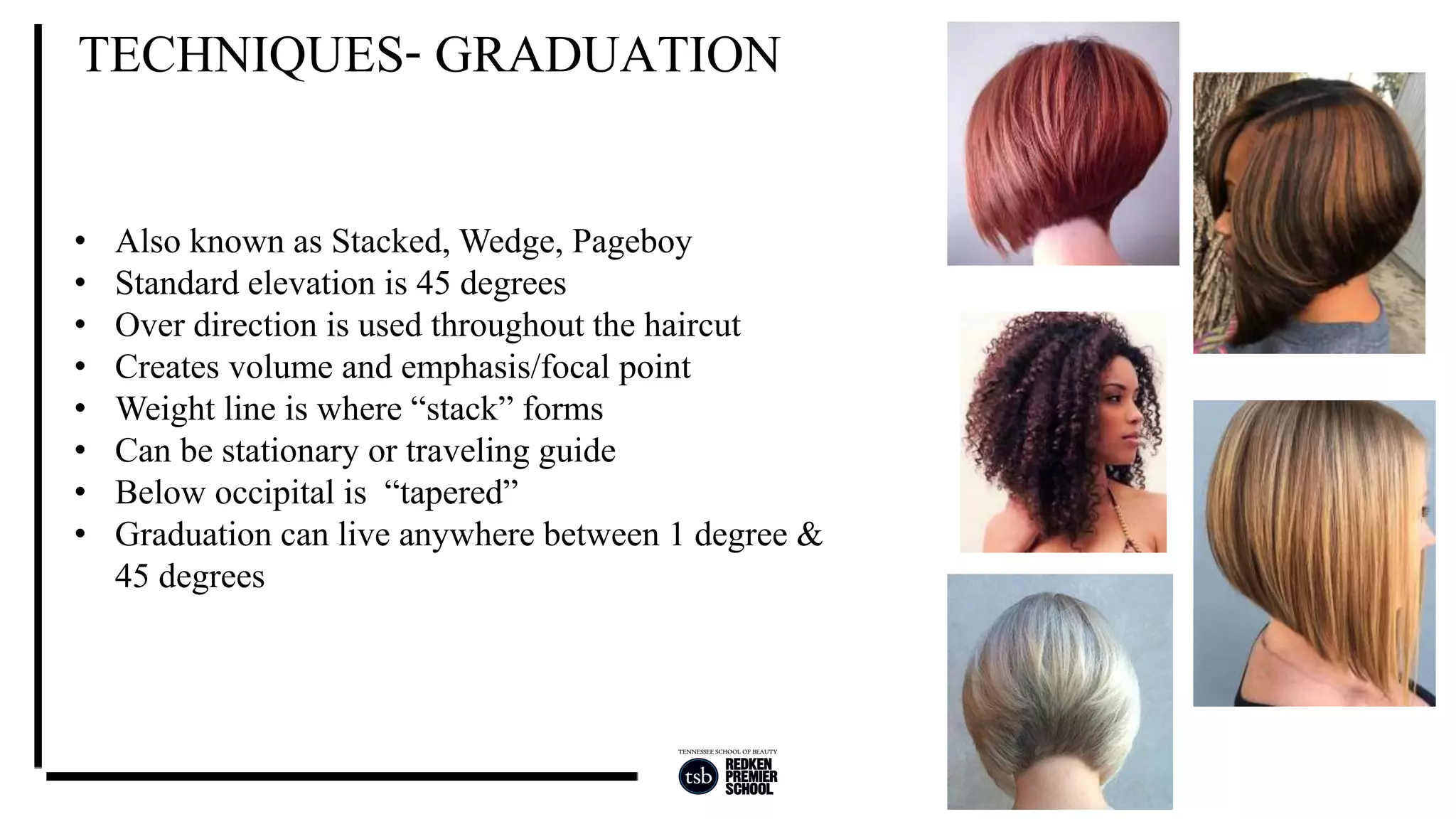 Haircutting weeks 5 & 6 | PPTX