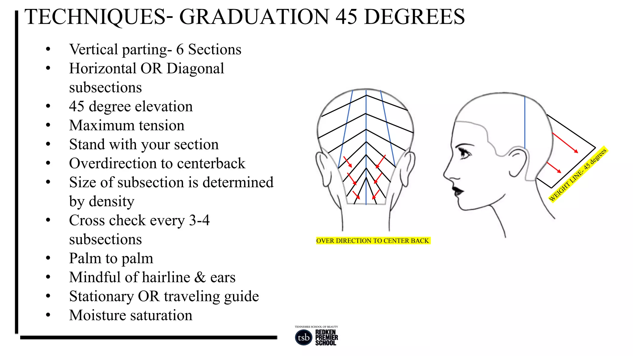 Haircutting weeks 5 & 6 | PPTX