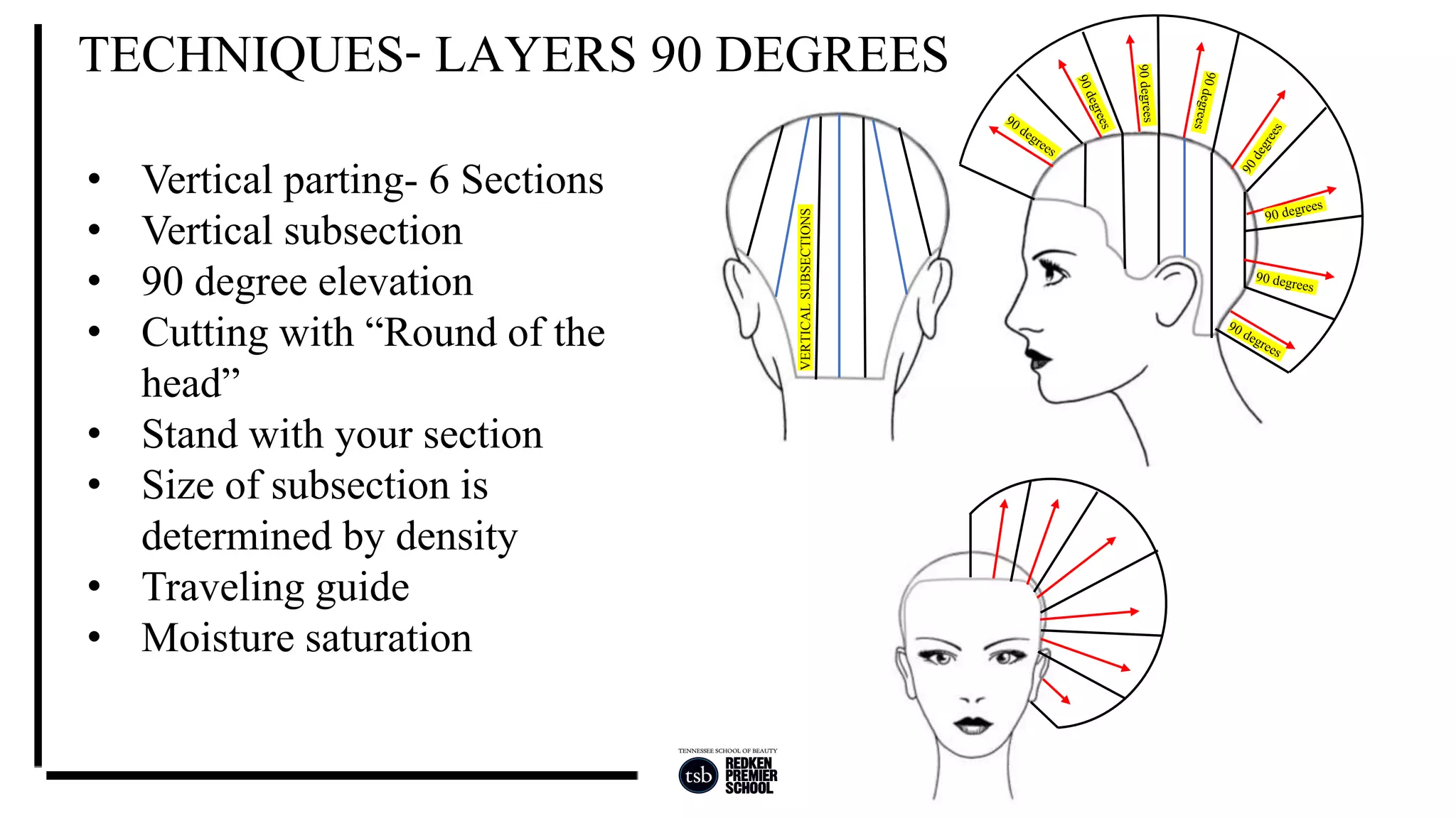 Haircutting weeks 5 & 6 | PPTX