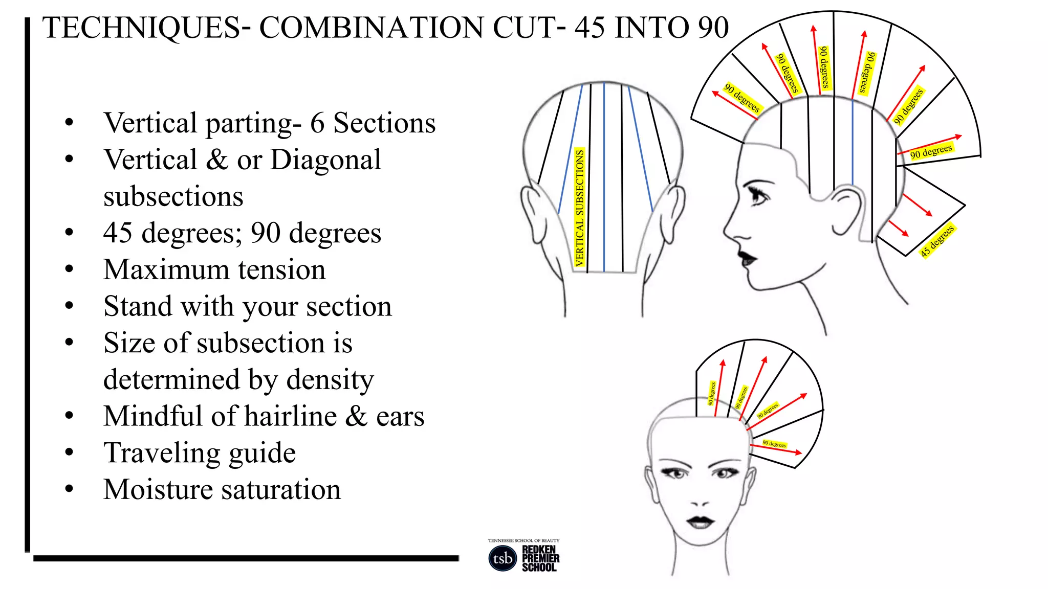 Haircutting weeks 5 & 6 | PPTX