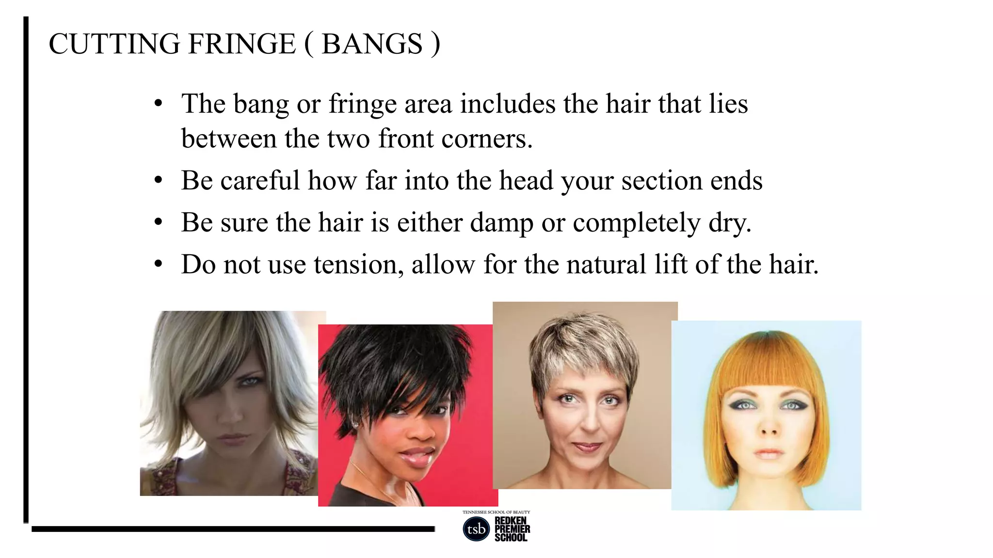 Haircutting weeks 5 & 6 | PPTX