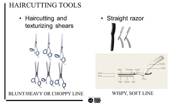 Haircutting weeks 5 & 6 | PPTX | Hair Care | Beauty