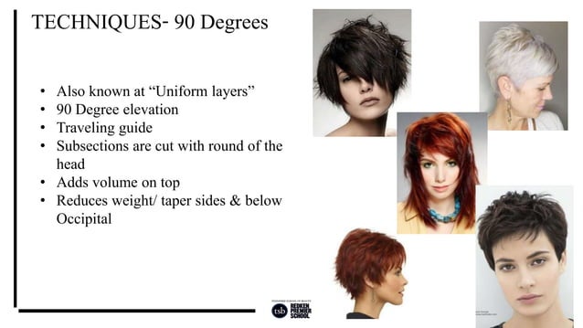 Haircutting weeks 5 & 6 | PPTX | Hair Care | Beauty