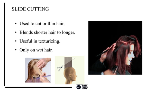 Haircutting weeks 5 & 6 | PPTX | Hair Care | Beauty