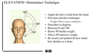 Elvation 180 Degree Haircut