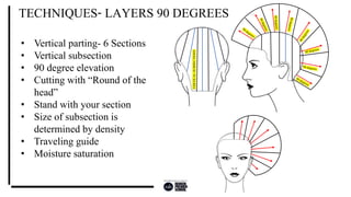 Elvation 180 Degree Haircut