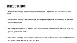 HAIR CYCLE.pptx in dermatology slideshares | PPTX