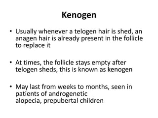 Hair cycle by aseem | PPTX