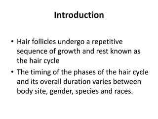 Hair cycle by aseem | PPT