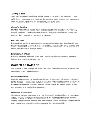 HAIR DAMAGE: CAUSES, PREVENTION AND CURES | PDF