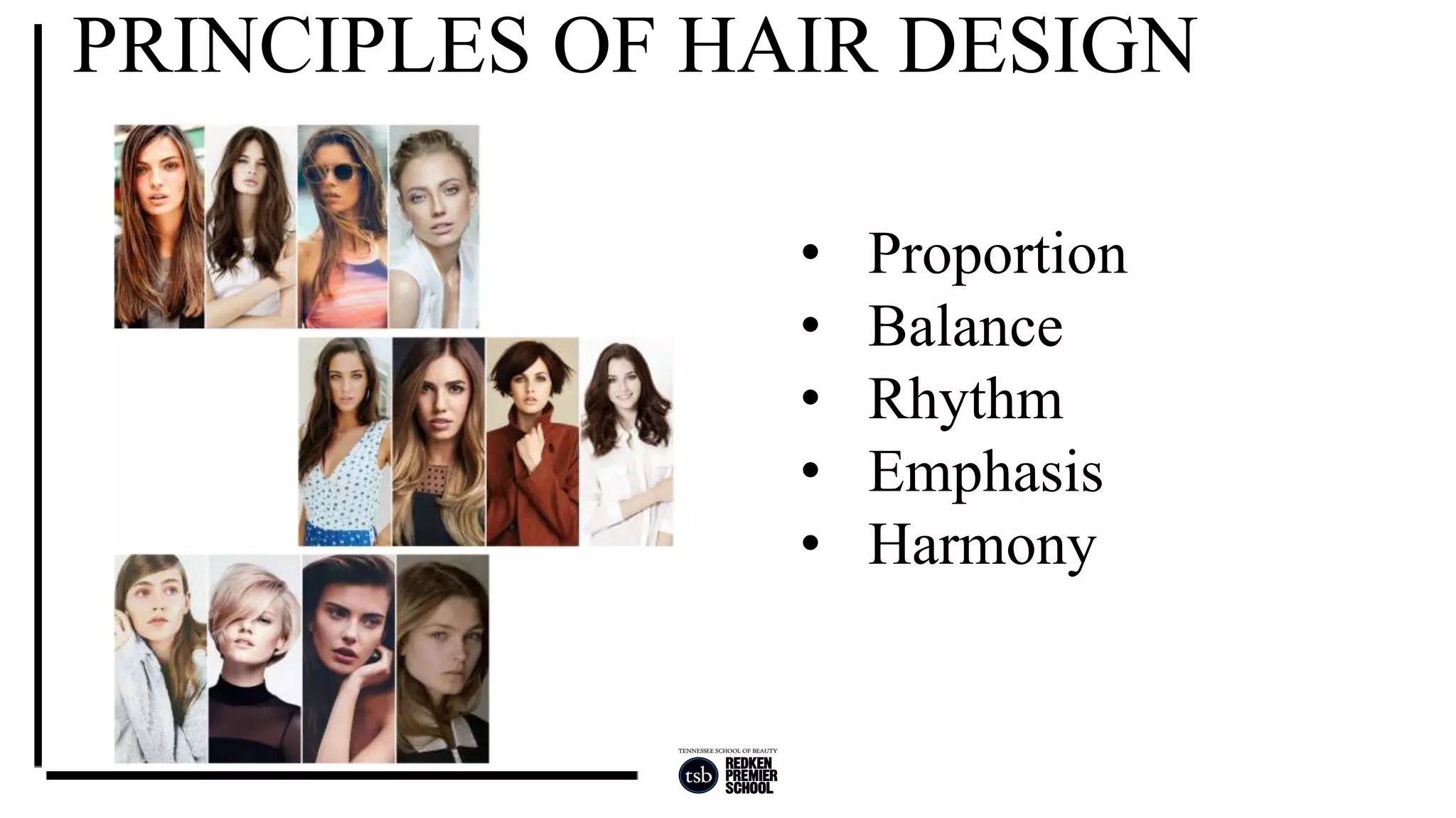 Hair design week 1 | PPTX