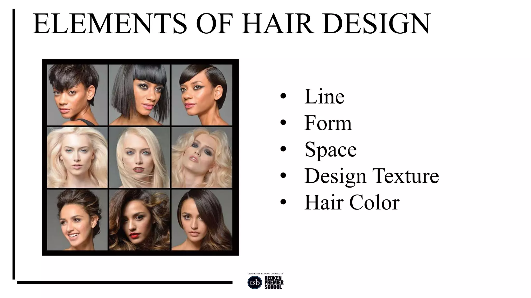 Hair design week 1 | PPTX