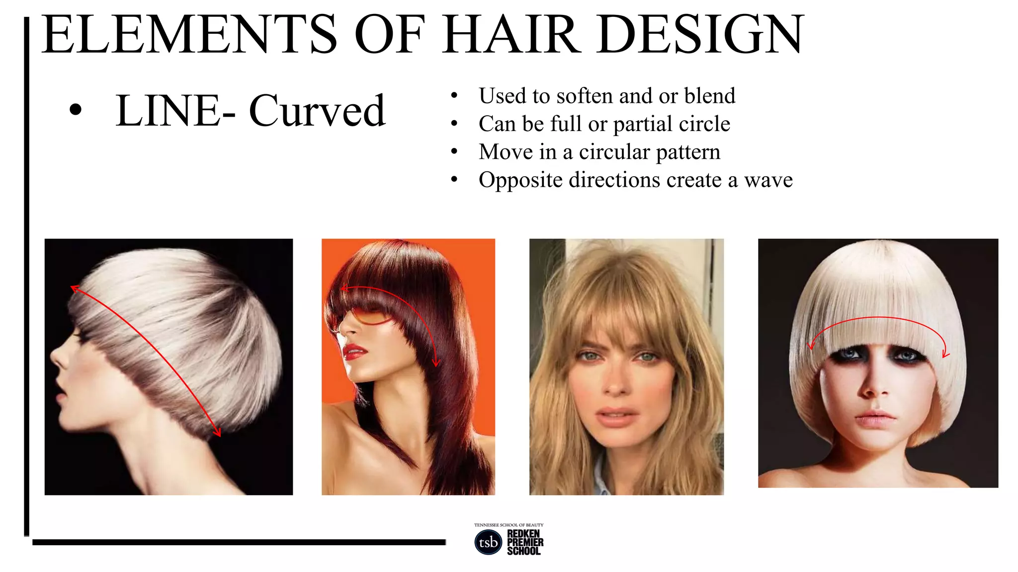 Hair design week 1 | PPTX