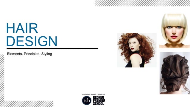 Hair design week 1 | PPTX | Hair Care | Beauty