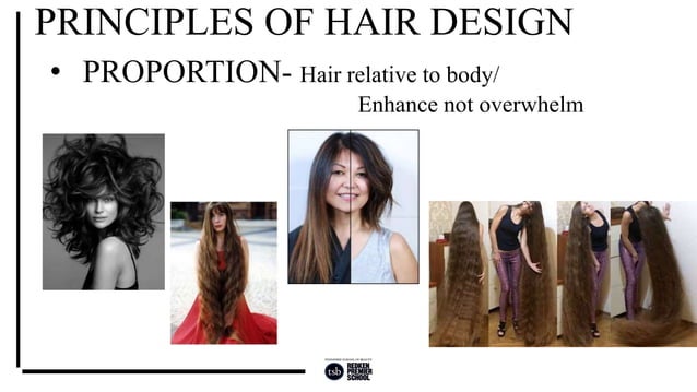 Hair design week 1 | PPTX | Hair Care | Beauty