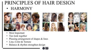 Hair design week 1 | PPTX